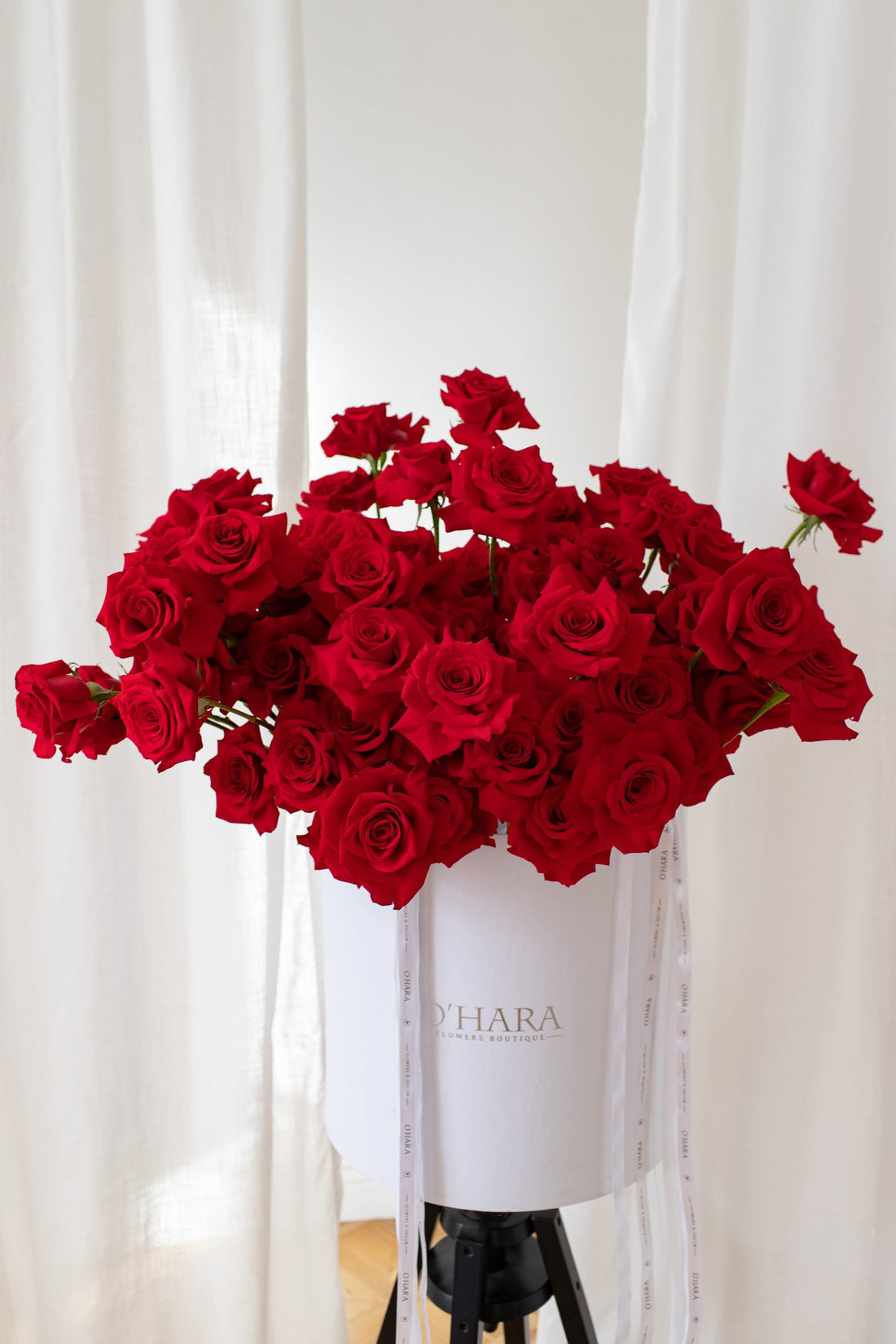 Roses Dubai — Fresh Rose Bouquets Delivery | Ohara Flowers – O’Hara ...